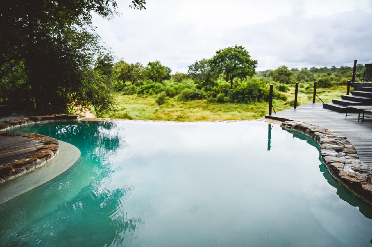 Garonga Safari Camp & Little Garonga, Makalali Nature Reserve, South ...