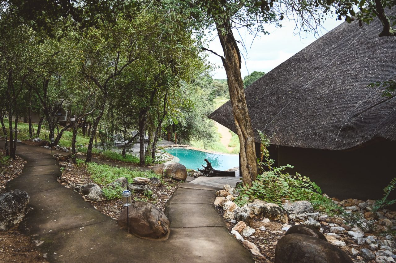 Garonga Safari Camp & Little Garonga, Makalali Nature Reserve, South ...