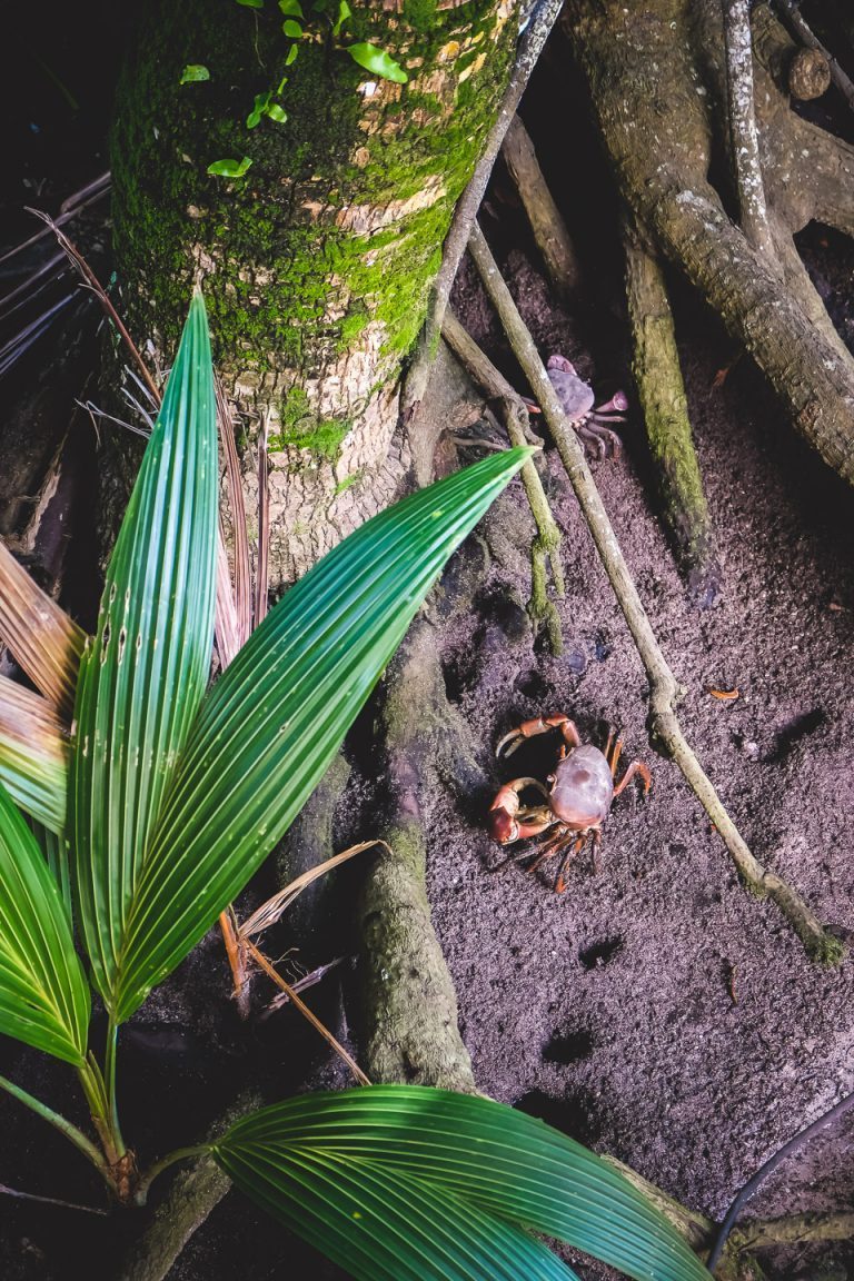 Hilton Seychelles Labriz Resort & Spa – ein Paradies für Liebende und ...